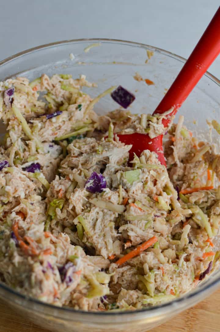 Easy 5 Ingredient Shredded Chicken Salad - Nourished by Nic