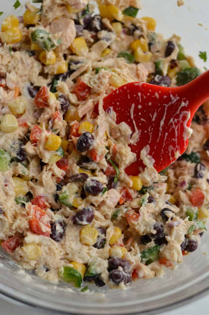 Mexican Tuna Salad - Nourished by Nic