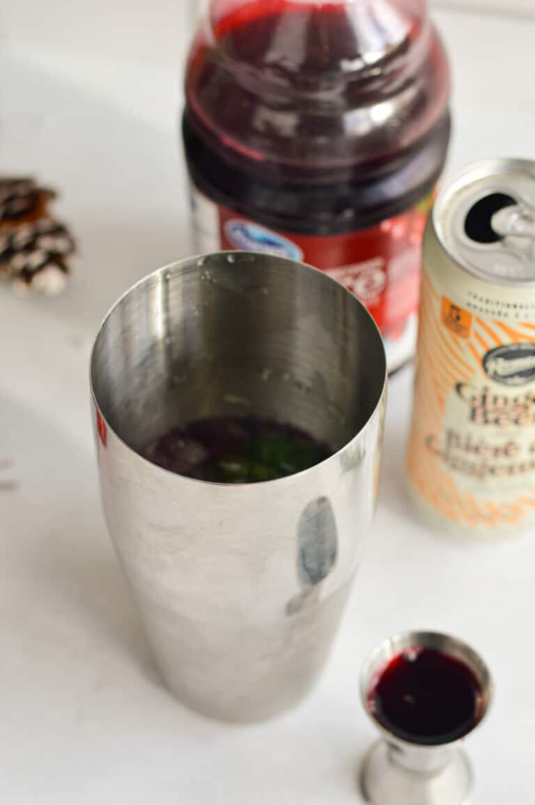 Festive Cranberry Ginger Beer Mocktail - Nourished by Nic