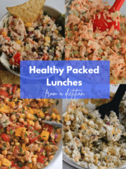 25+ Healthy Packed Lunch Ideas - Nourished by Nic